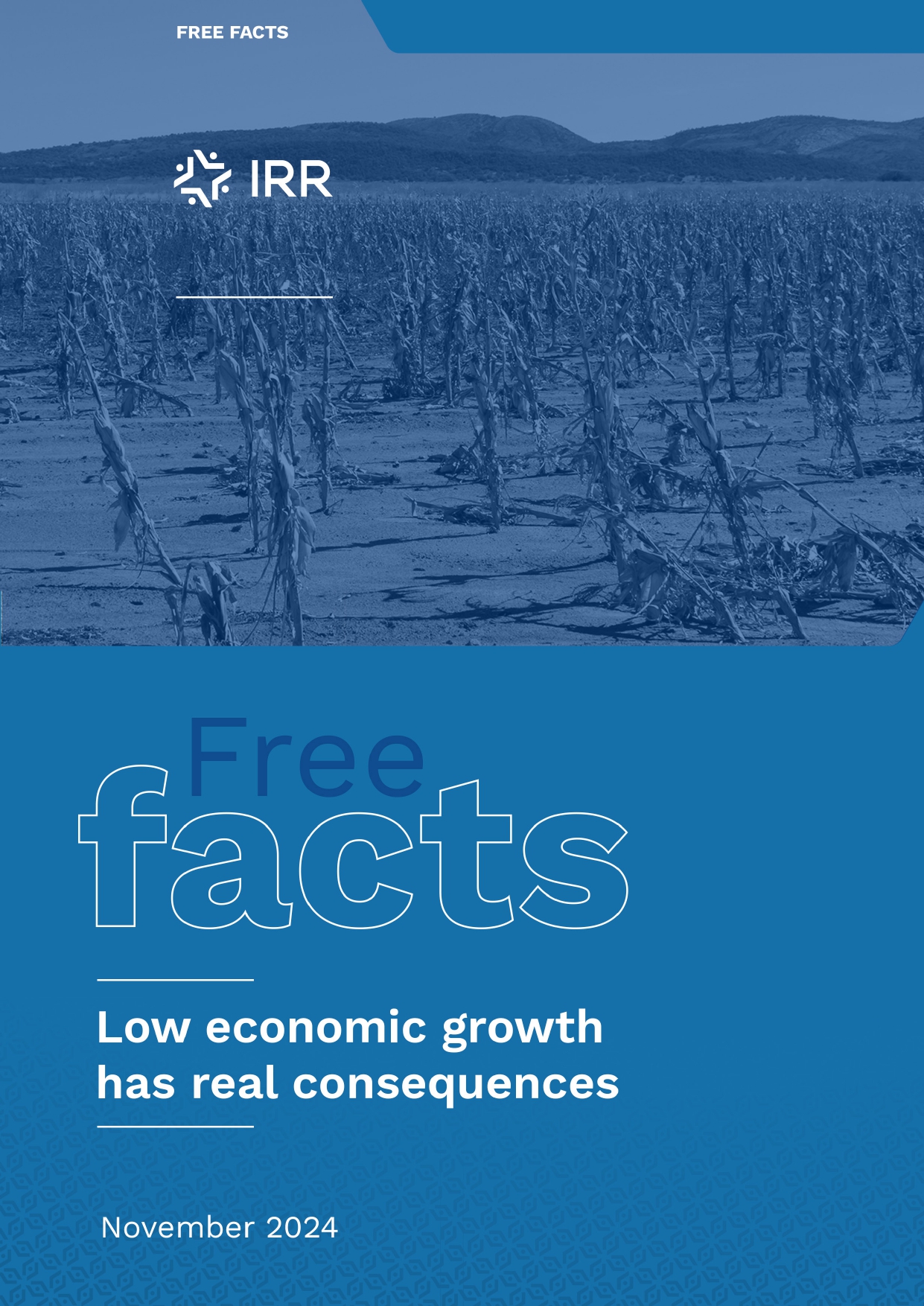 Low economic growth has real consequences | FreeFACTS - November 2024 ...